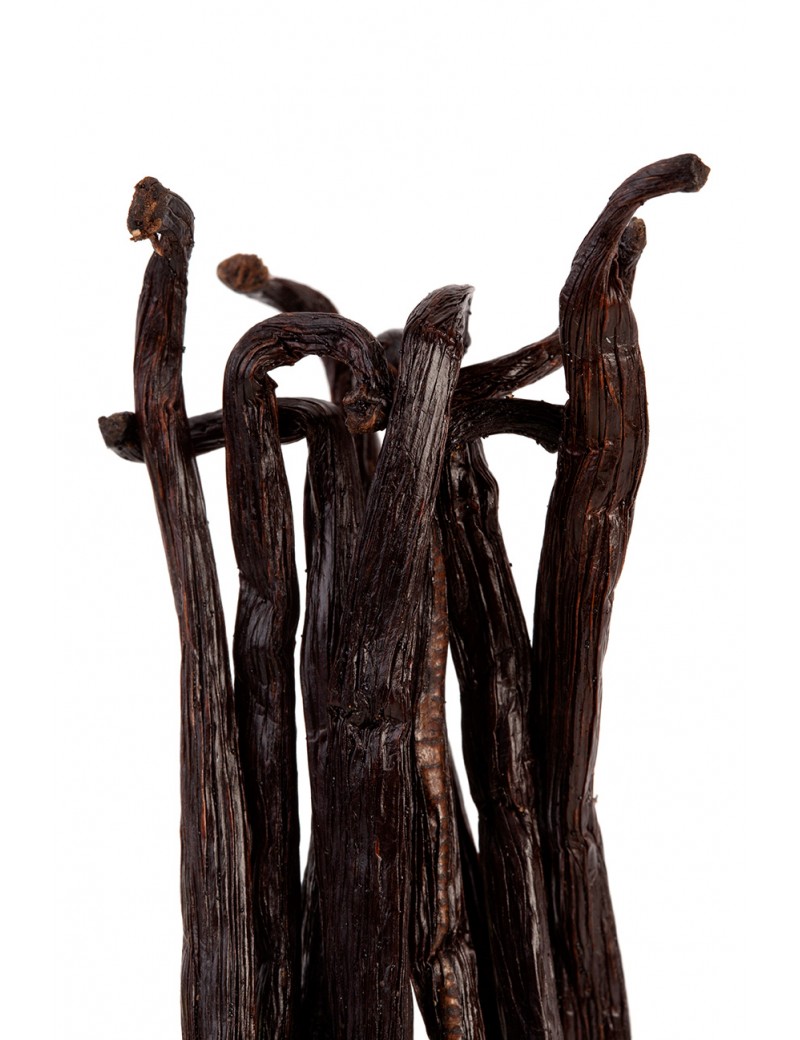 Vanille de Madagascar - NATURAL & AUTHENTIC AROMA OF MADAGASCAR